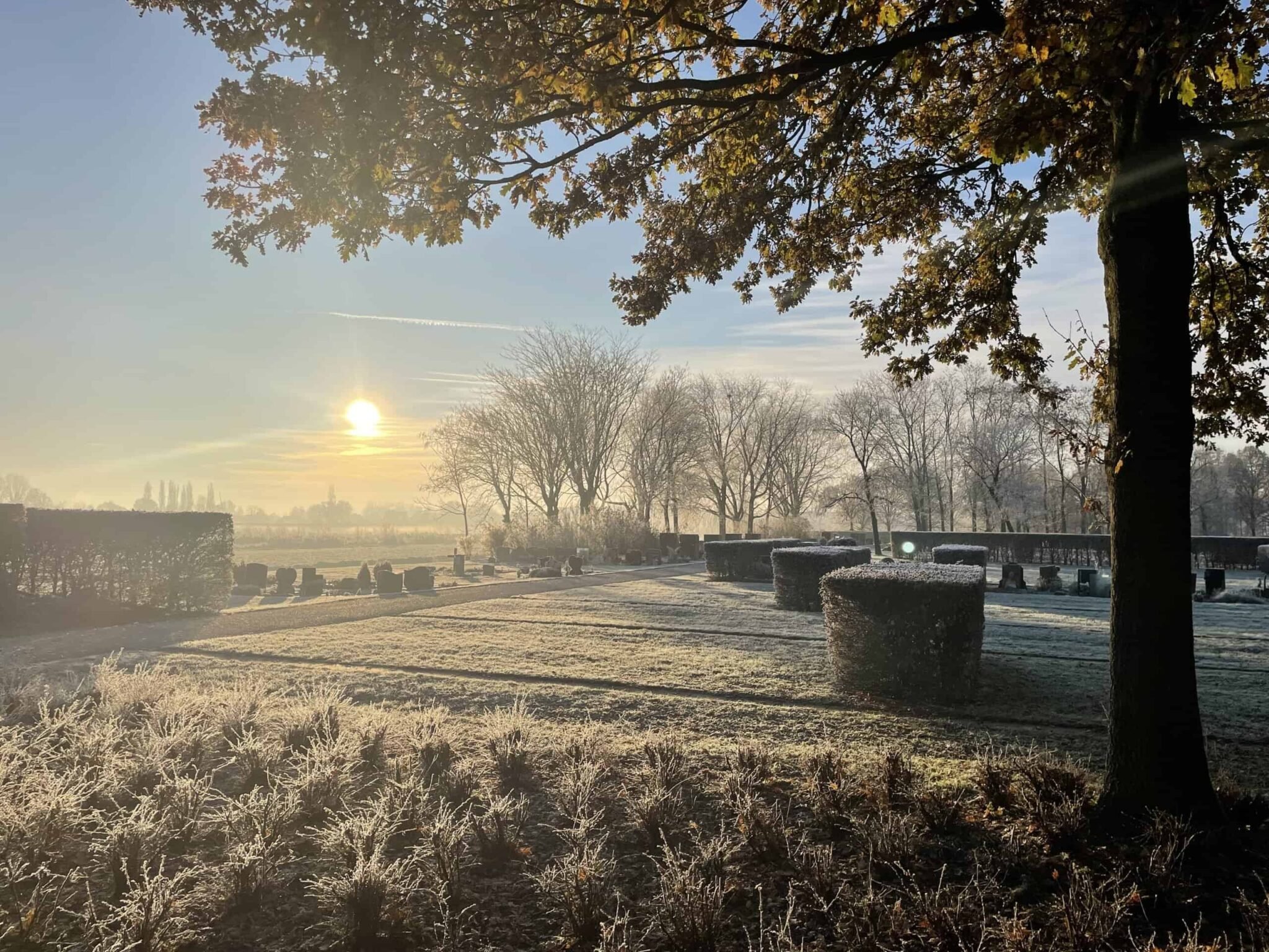 Uitvaart Regelen | Ename Uitvaartzorg